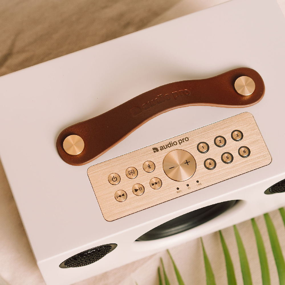 Audio Pro C5 MkII Sand Limited Edition Multiroom Hoparlör Fiyatı ...