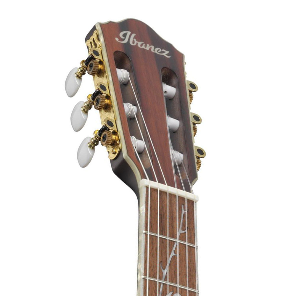 Ibanez TOD10N-TKF Tim Henson Signature Elektro Klasik Gitar Fiyatı, Özellikleri | ZUHAL ...