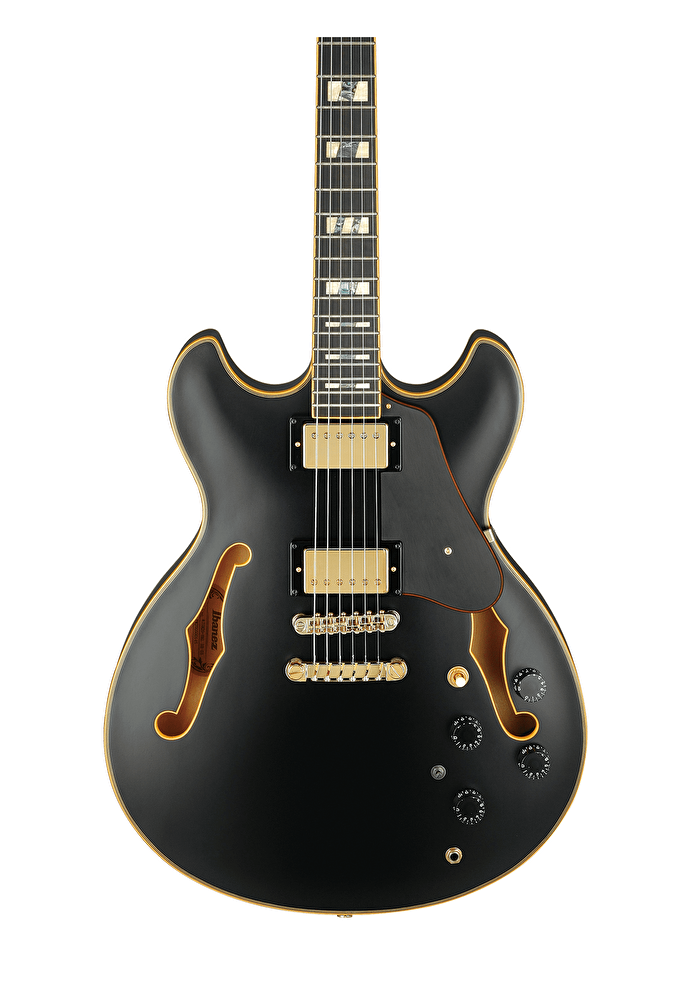 IBANEZ JSM20-BKL JSM Elektro Gitar (Case Dahil) Fiyatı, Özellikleri ...