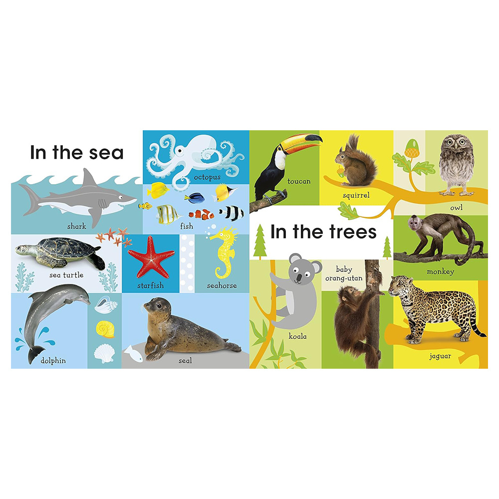 DK - 100 First Animals Fiyatı, Özellikleri | ZUHAL - Dünyanın En İyi ...