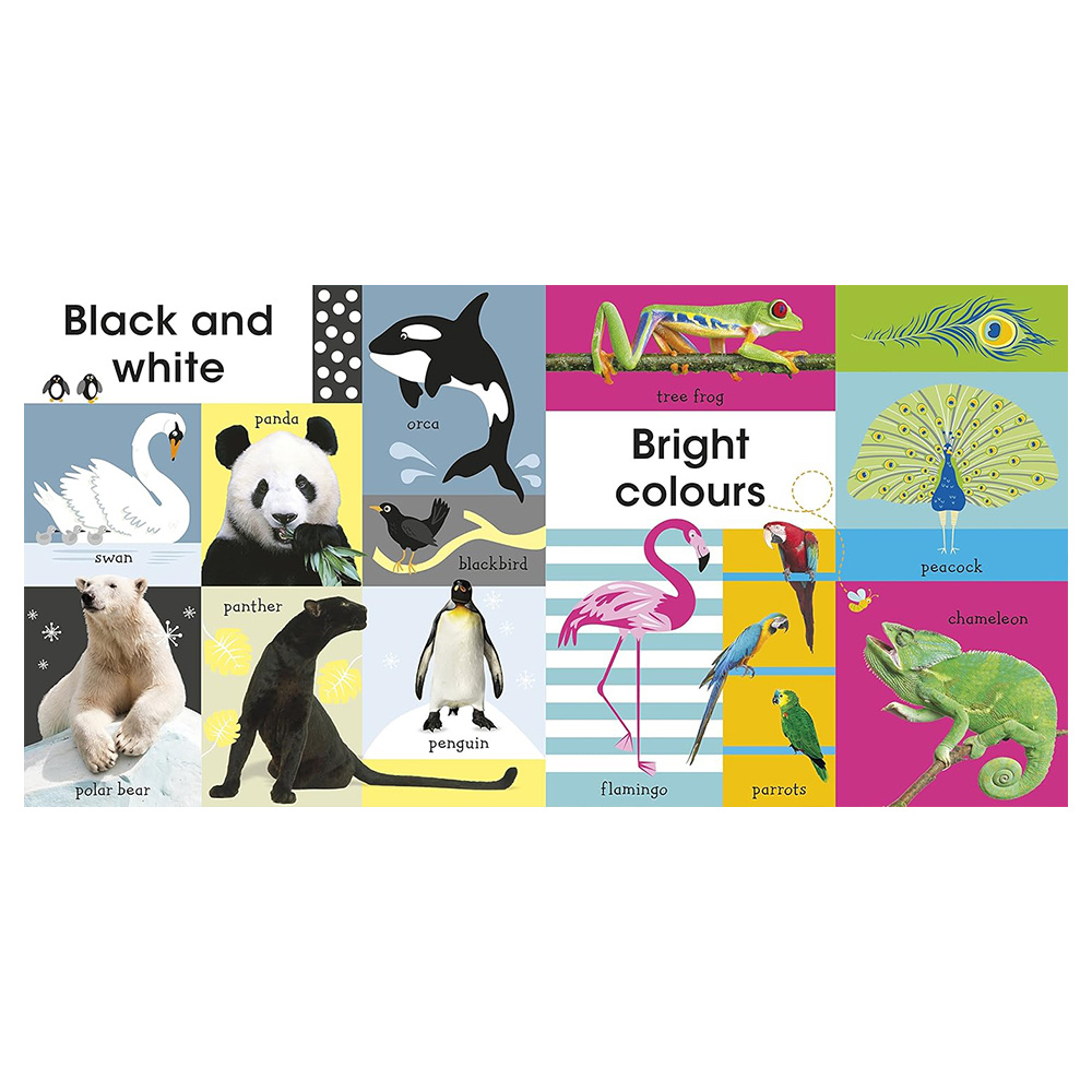 DK - 100 First Animals Fiyatı, Özellikleri | ZUHAL - Dünyanın En İyi ...